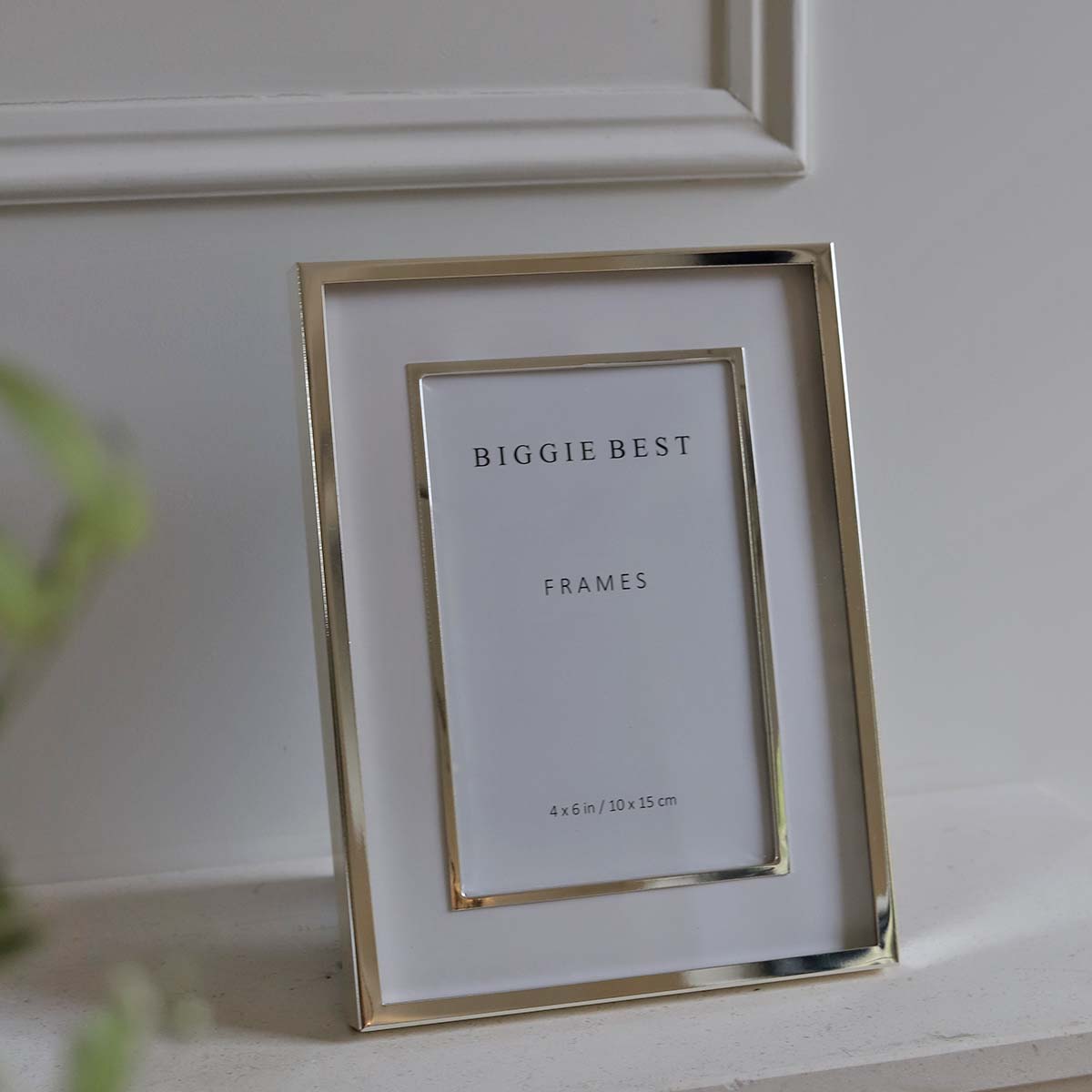 4X6 DOUBLE BORDER SILVER FRAME – BIGGIE BEST